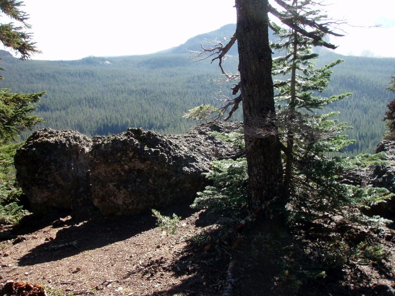 Potato Butte Trail 719-A – Trail Advocates