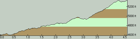Pacific Crest Trail 2000 – Trail Advocates
